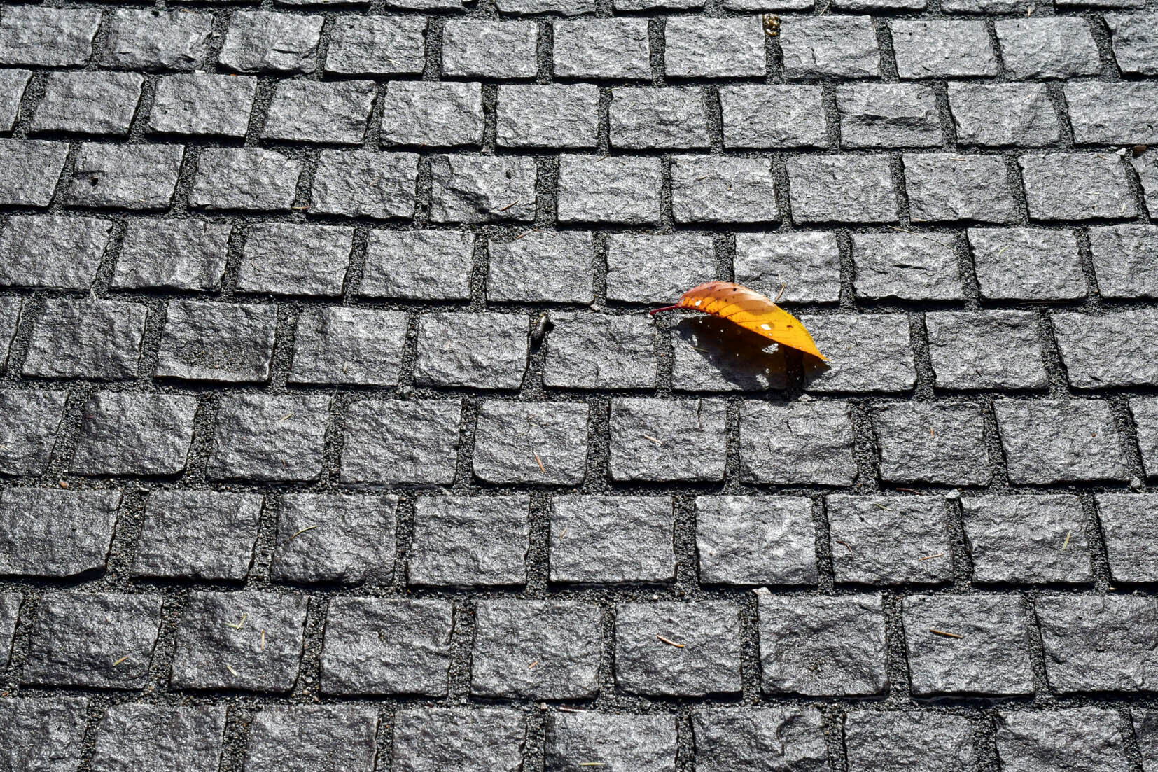 そろそろ冬です: Mの